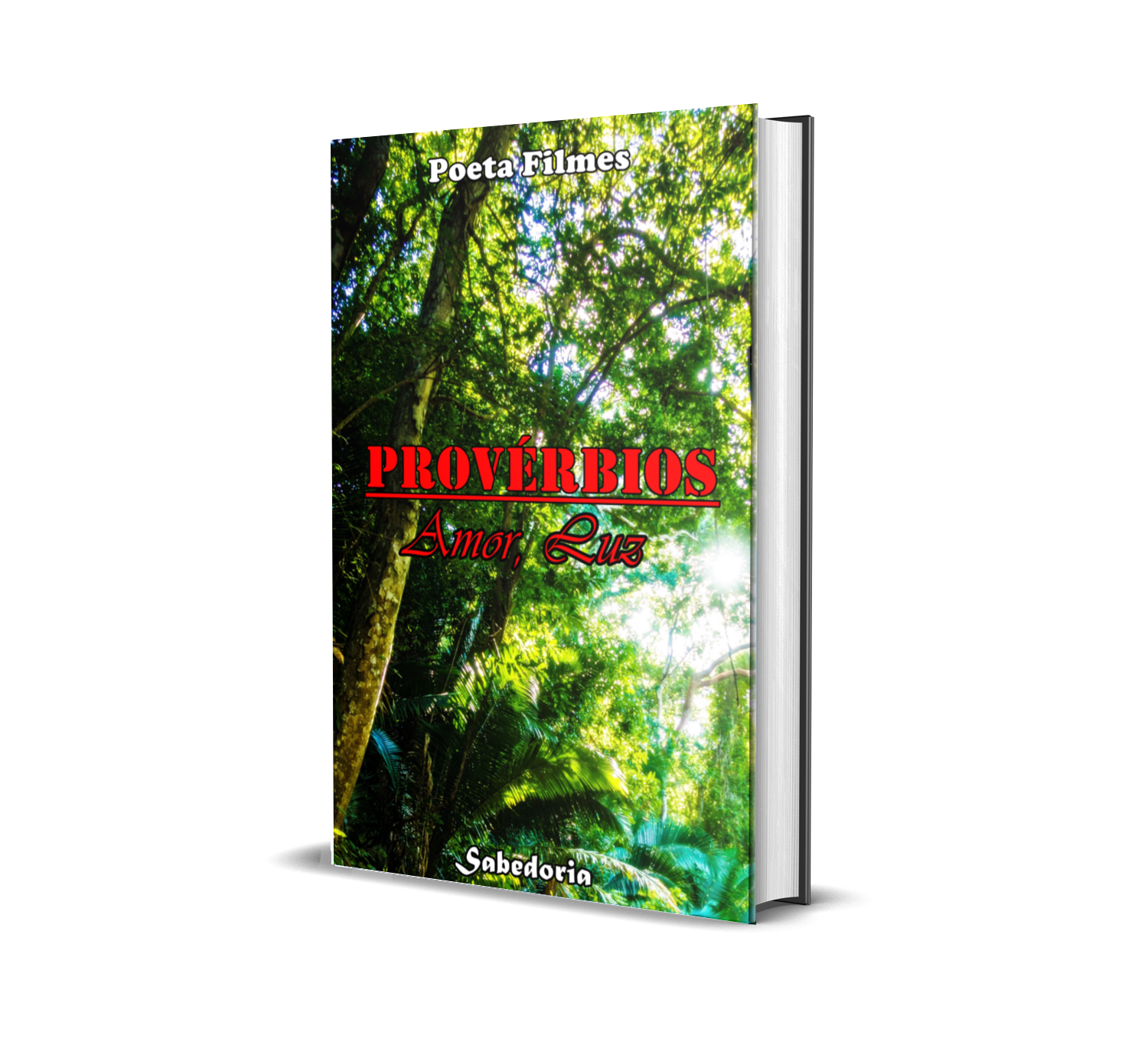 Provérbios: Amor, Luz e Sabedoria