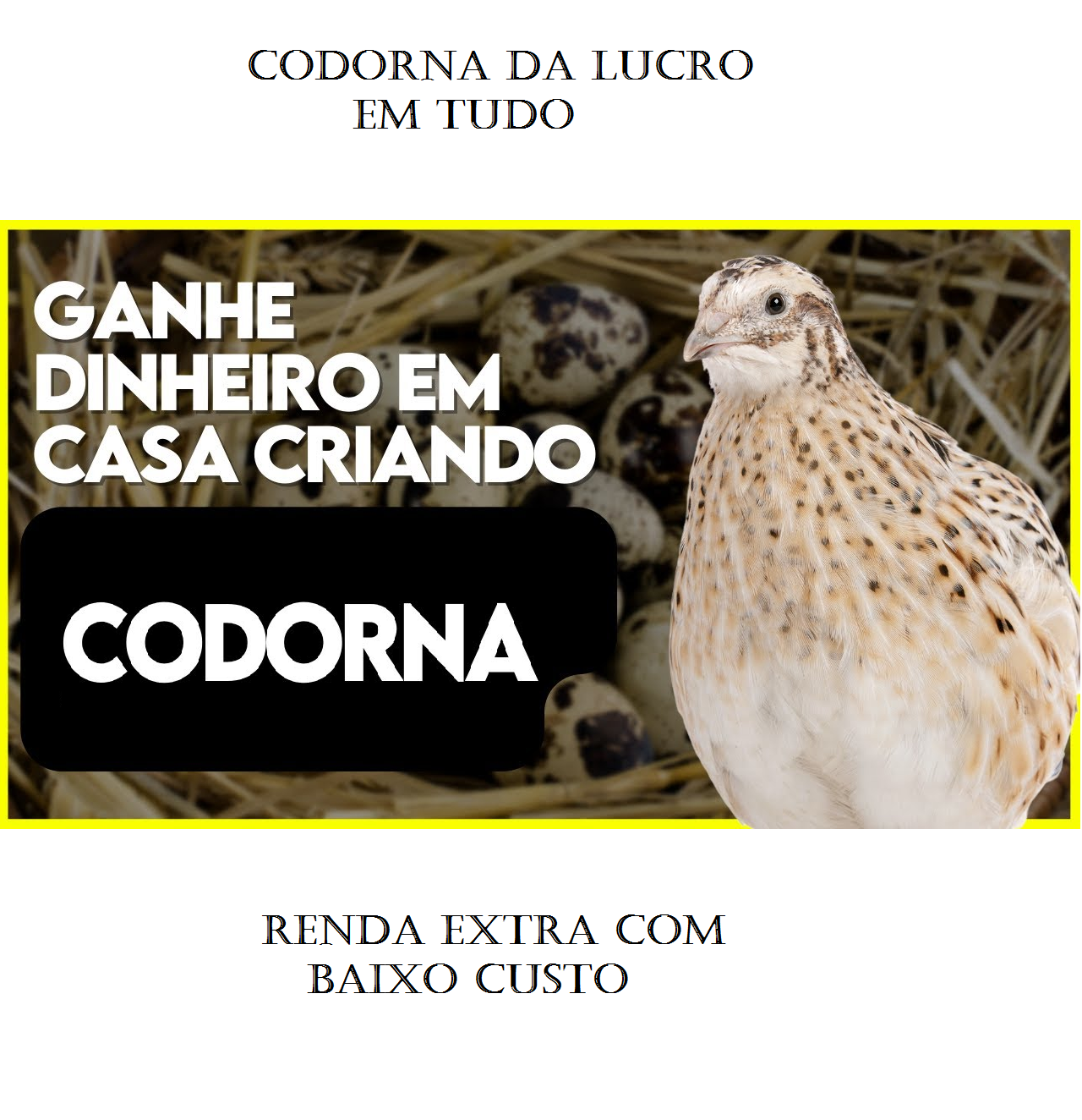 Guia Como Criar Codornas e Ganhar Dinheiro