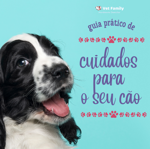 Guia Prático de Cuidados Para o Seu Cão - Thayná | Hotmart