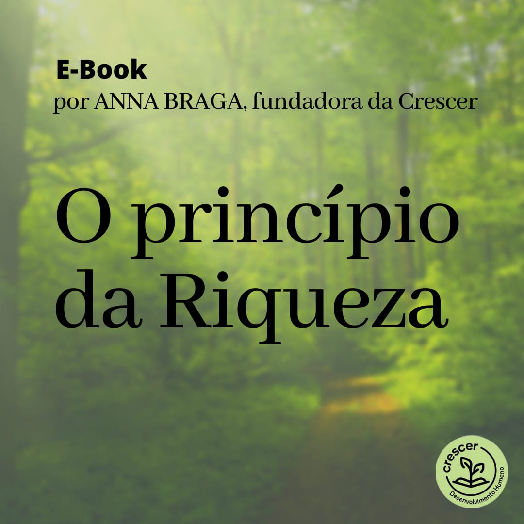 O Princípio da Riqueza - Anna | Hotmart