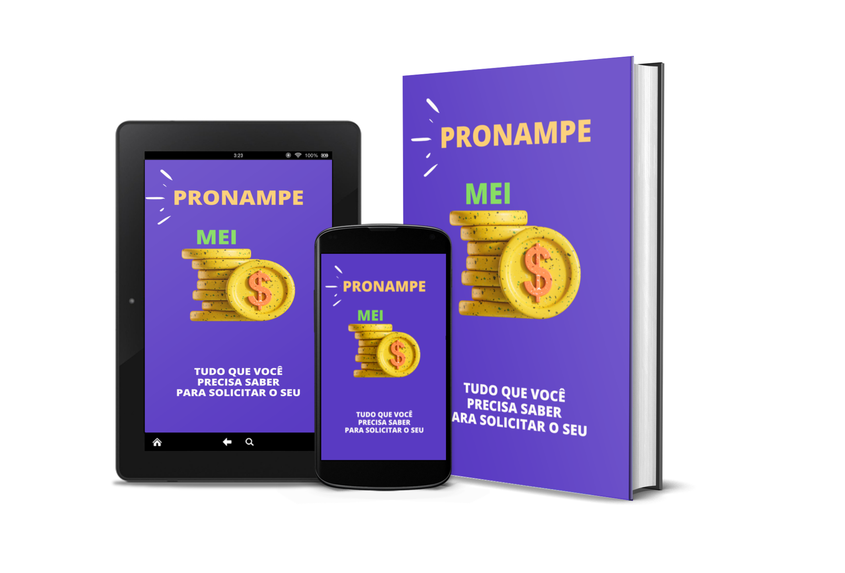 PRONAMPE MEI - EBOOK