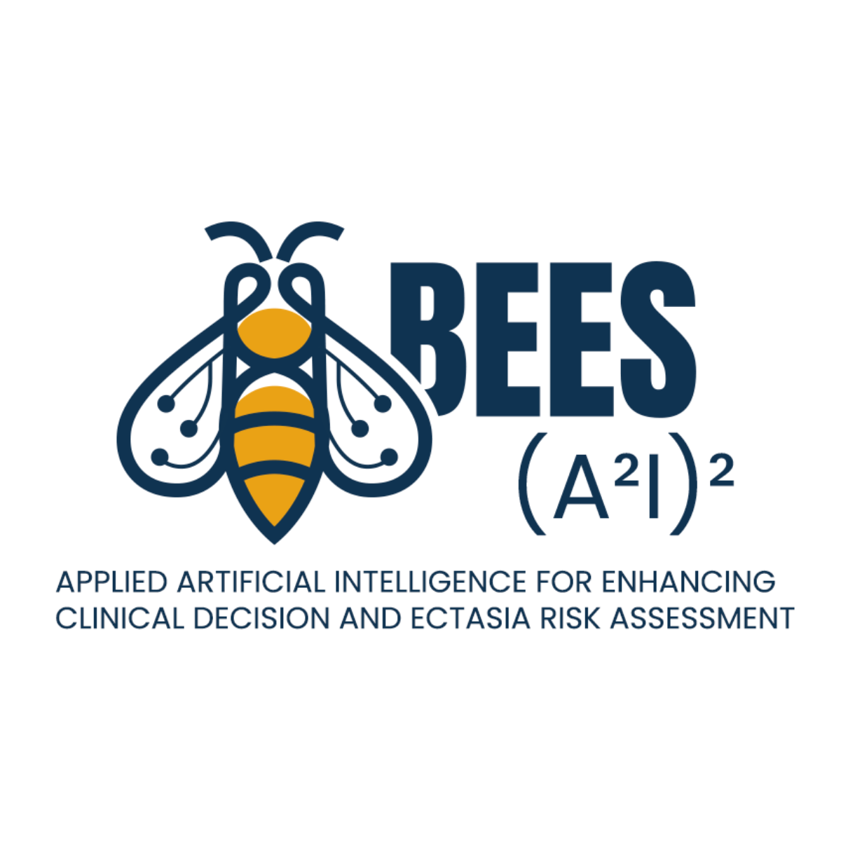 BEES - BrAIN Enhanced Ectasia Software