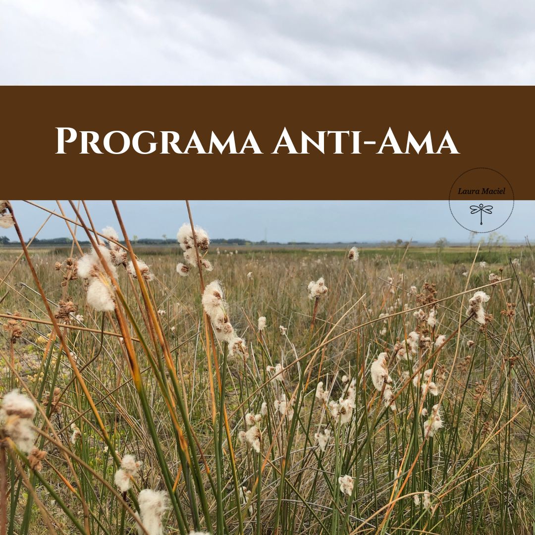 Programa Anti-Ama - Laura Maciel | Hotmart