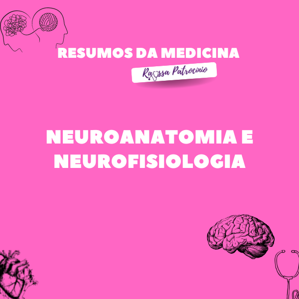 Resumos Da Medicina Neuroanatomia E Neurofisiologia Rsp Negócio