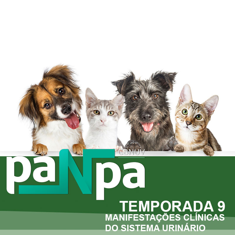 PaNpa temporada 9 Manifestações clínicas do sistema urinário - EAÍ?...
