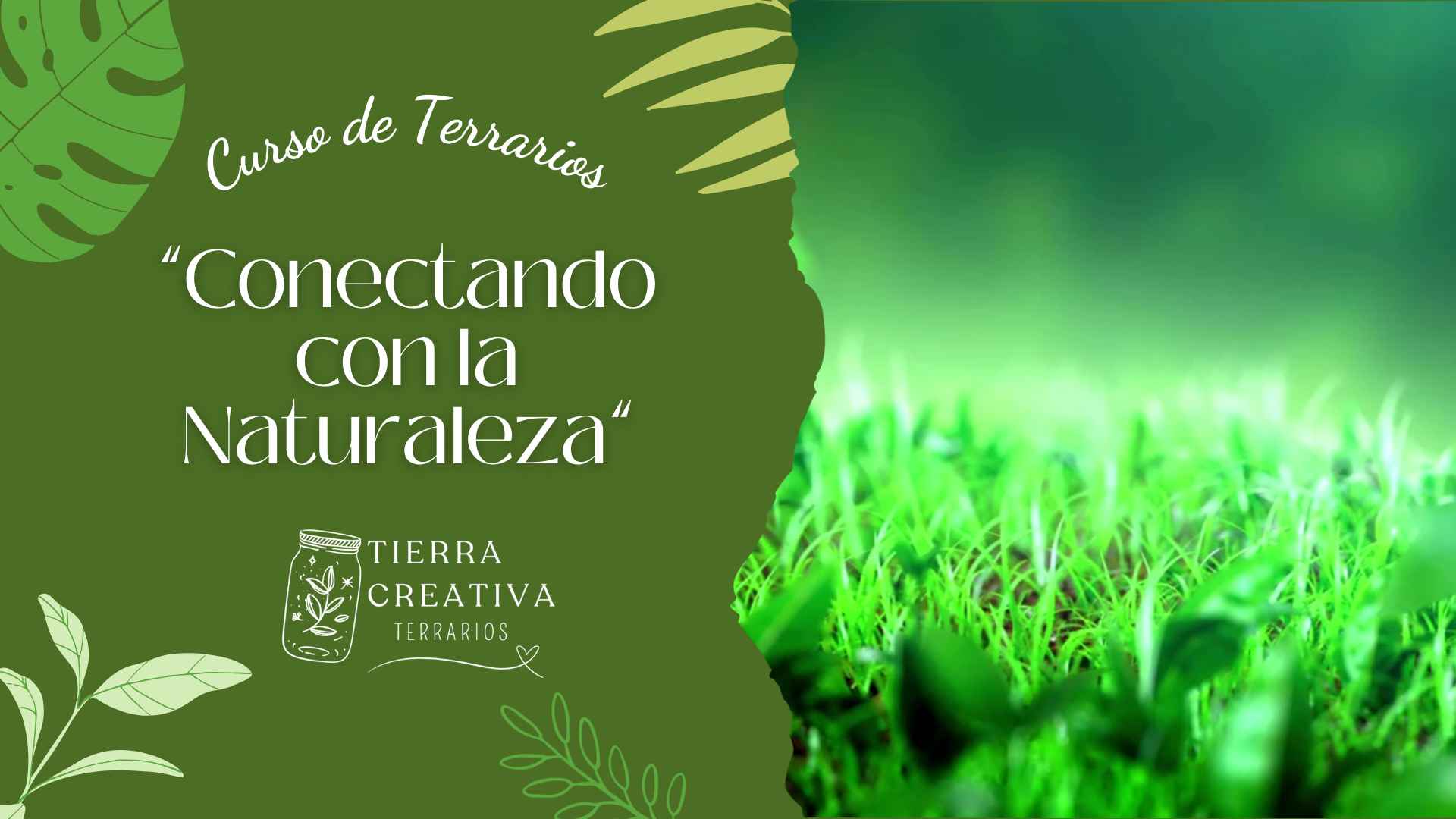 Curso de Terrarios "Conectando con la Naturaleza" - Andrea Alejandr...