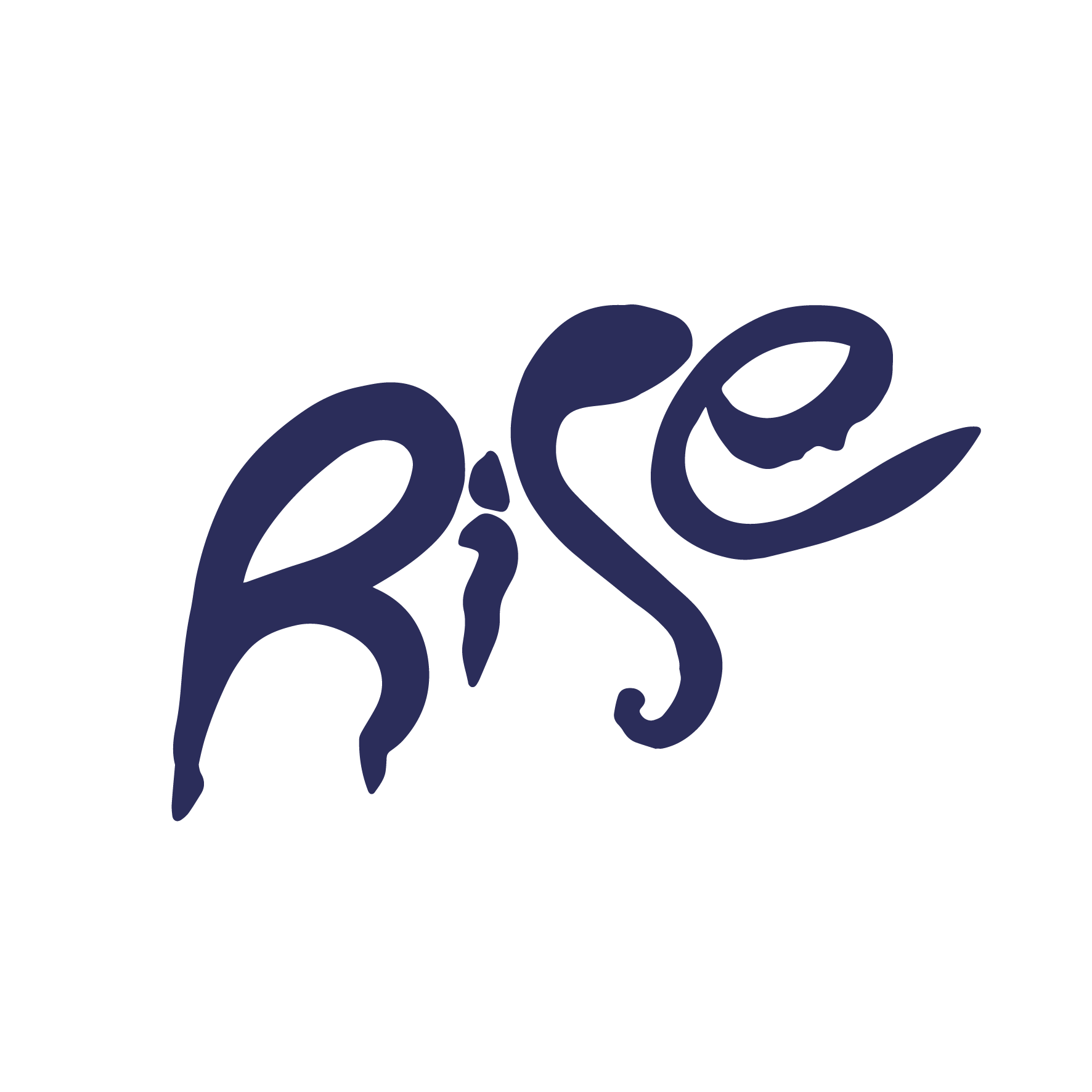 PF RISE - Paulo Lepe | Hotmart