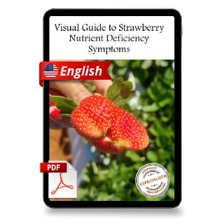 [Strawberry] E-book | 1 unit | Visual Guide to Strawberry Nutrient ...