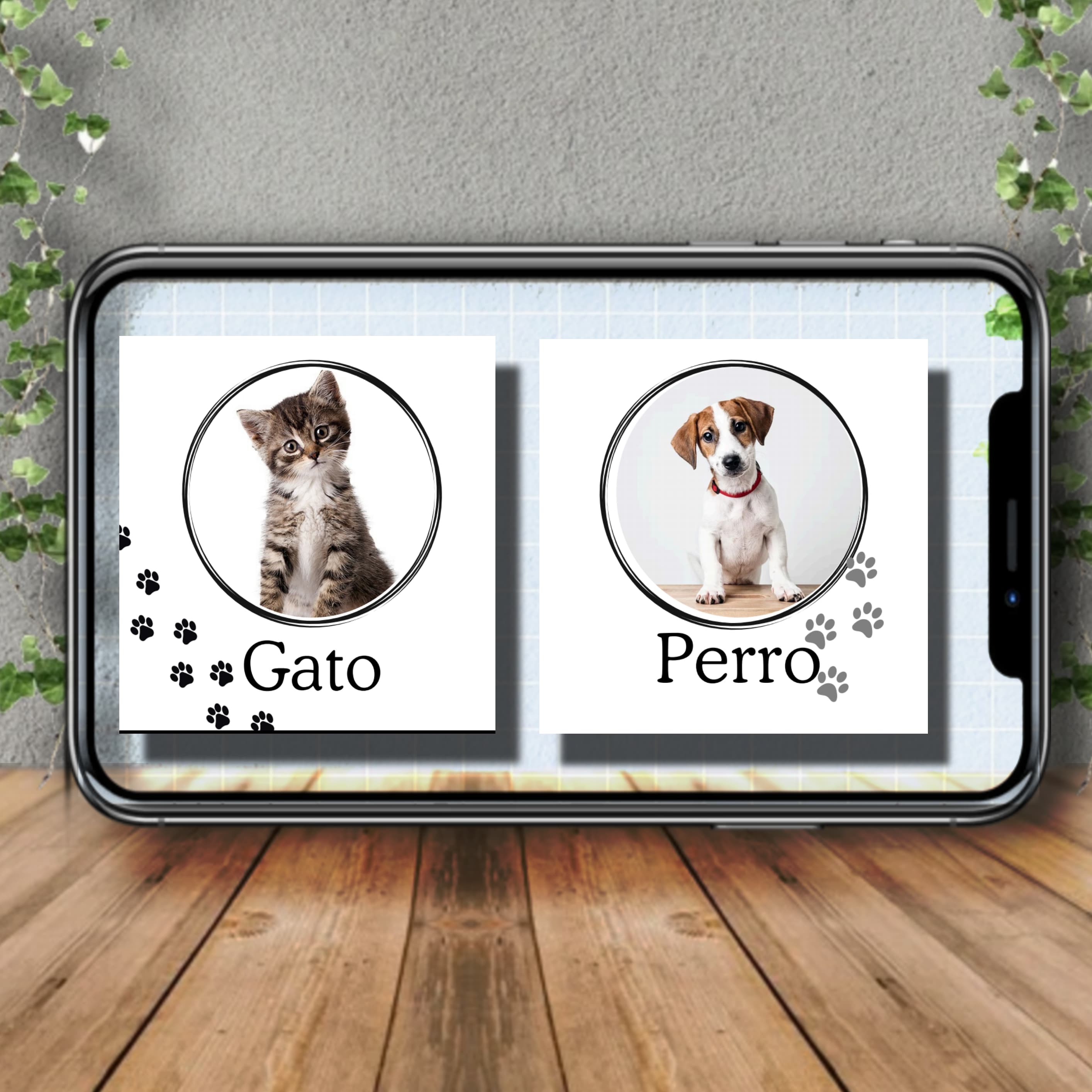 Flashcards de animales salvajes y domesticos para niños y niñas - A...