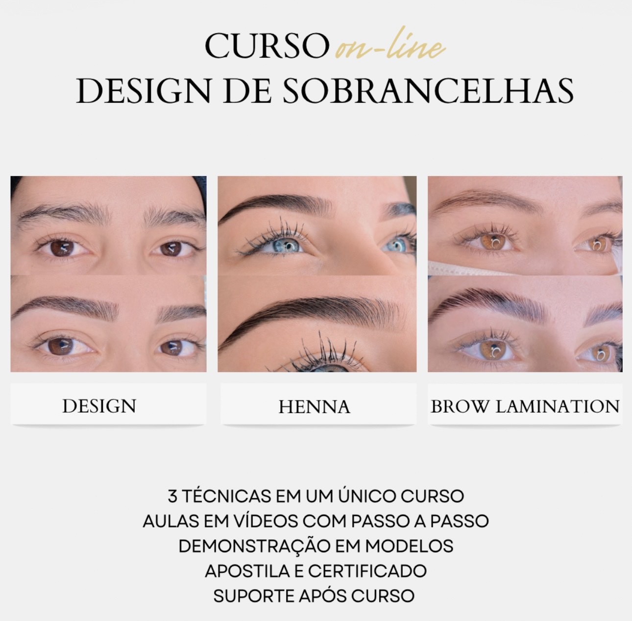 Curso Design De Sobrancelhas Henna Brow Lamination Paloma Rod