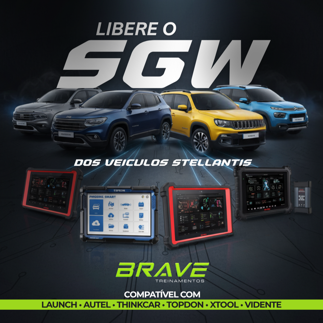 LICENÇA SGW FCA/ Stellantis - Brave Soluções Automotivas e Treiname...