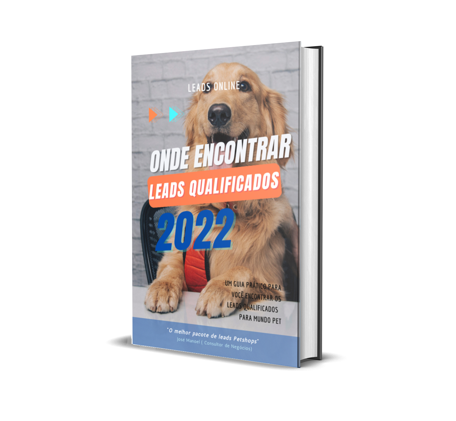 Leads Qualificados PET SHOP Brasil Chave Tech Hotmart Leads Qualificados PET SHOP Brasil Chave Tech Hotmart