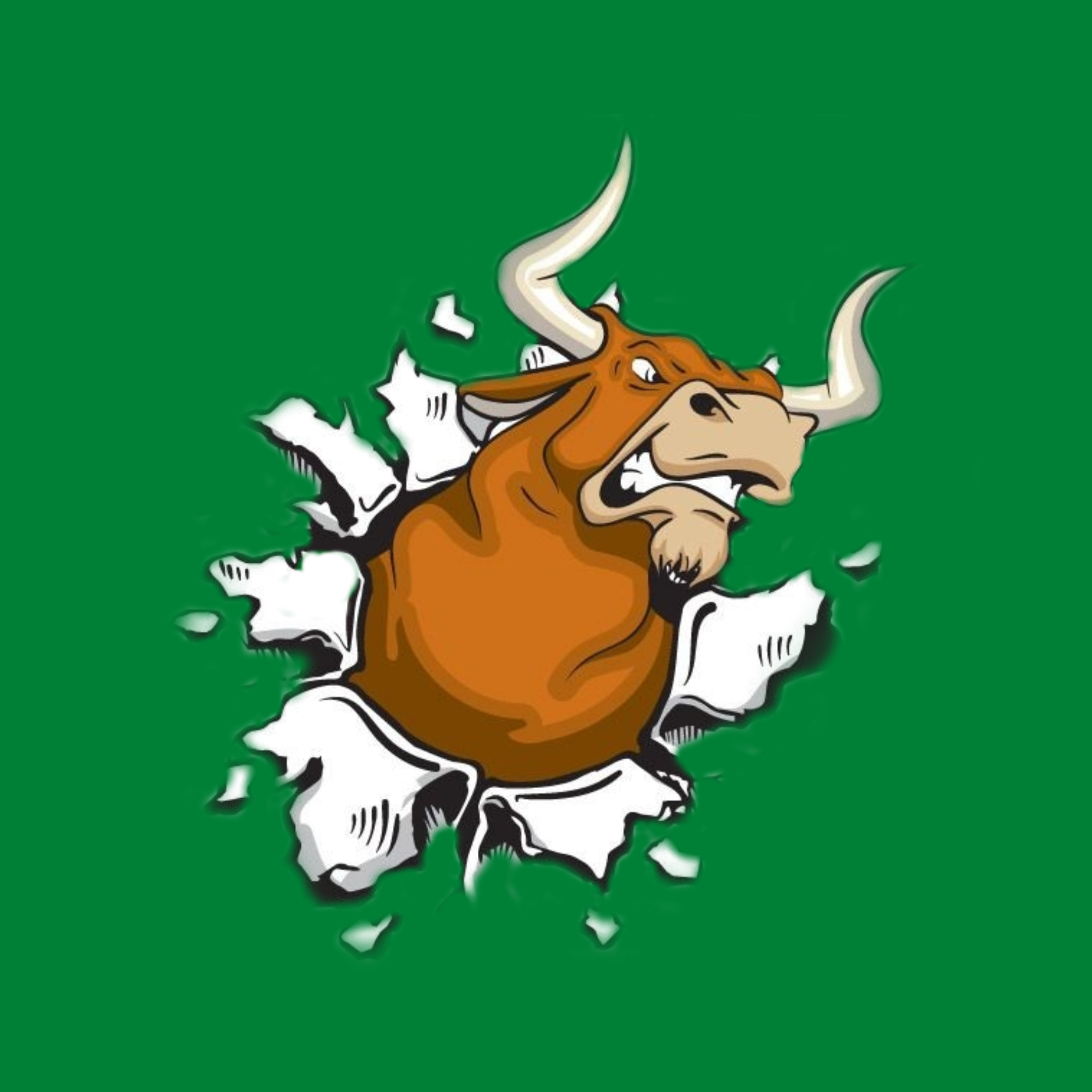El toro - VIP