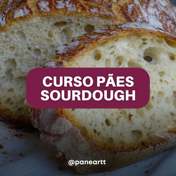 Curso Completo Pães Sourdough - Paneartt A Casa do Levain | Hotmart
