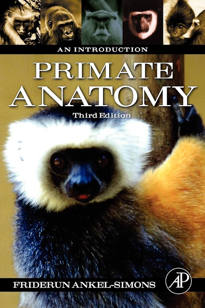 Primate Anatomy An Introduction - REMANEJAR | Hotmart