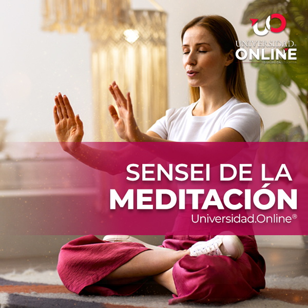 Sensei de la Meditación