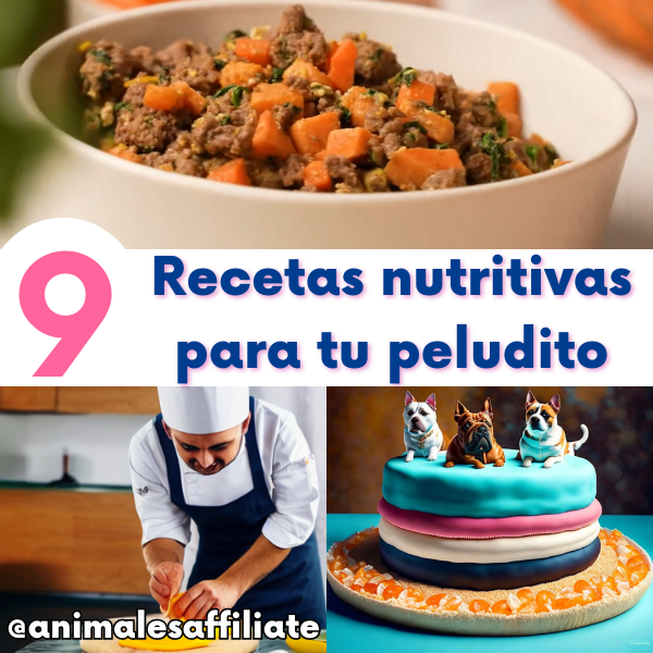 9 Recetas Nutritivas para tus Mascotas - animalesaffiliate | Hotmart