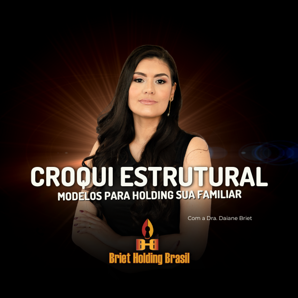 CROQUI ESTRUTURAL - Modelos para sua Holding Familiar - Daiane Brie...