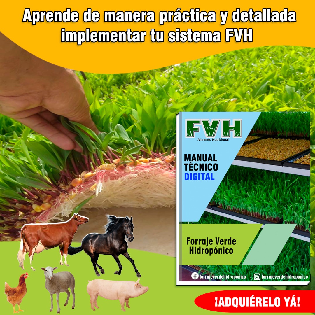 Manual Técnico Digital FVH - martin soto | Hotmart