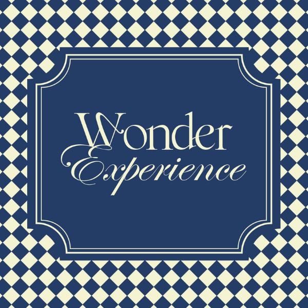 Wonder Experience