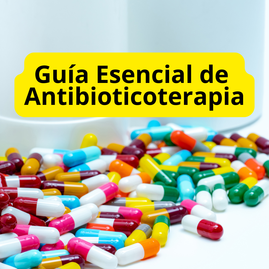 'Guía Esencial de Antibioticoterapia - ESS | Hotmart