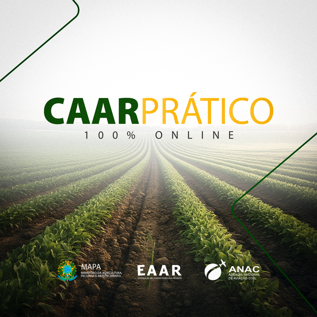 CAAR PRÁTICO ONLINE