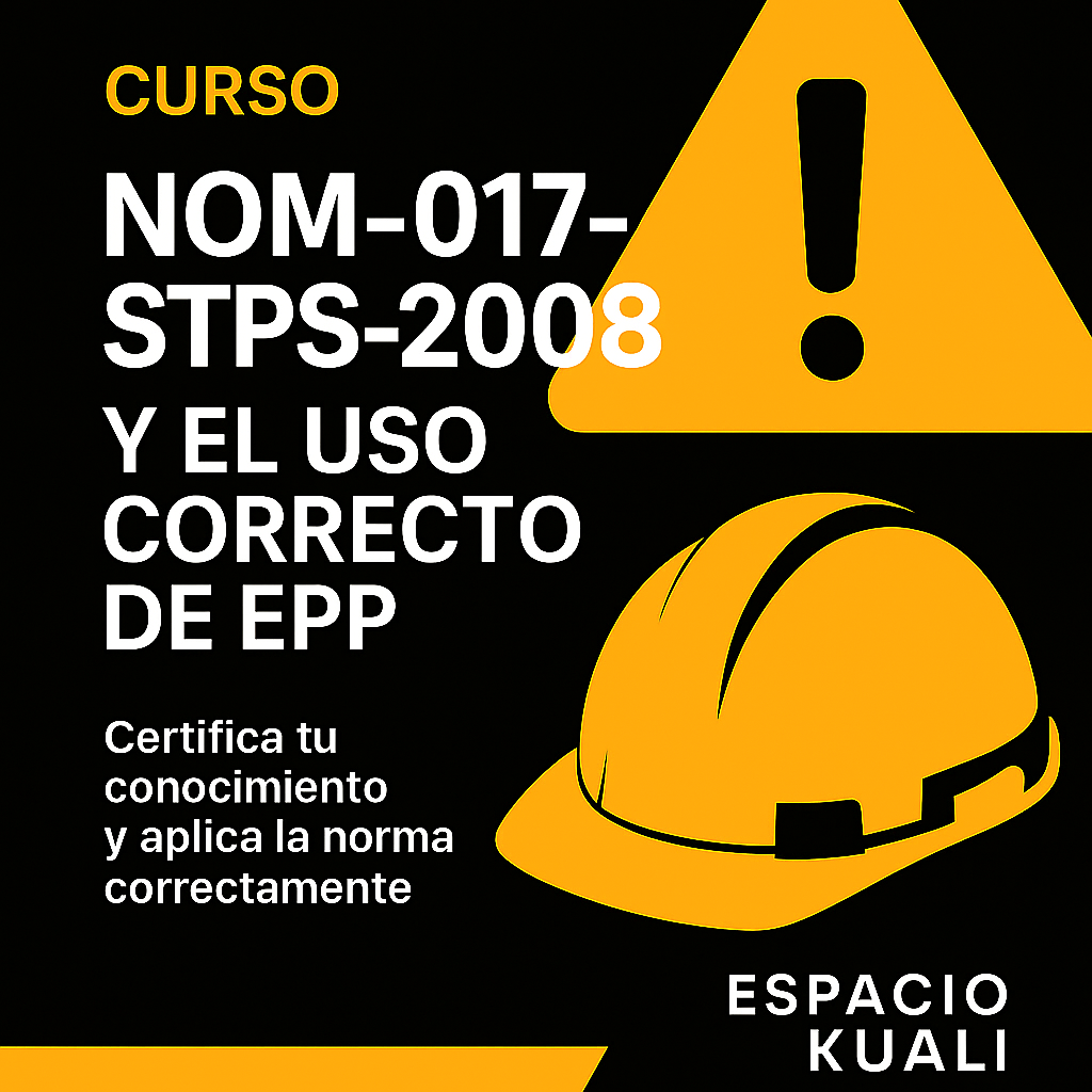 NOM-017-STPS-2008, Equipo de protección personal - America Gutierre...