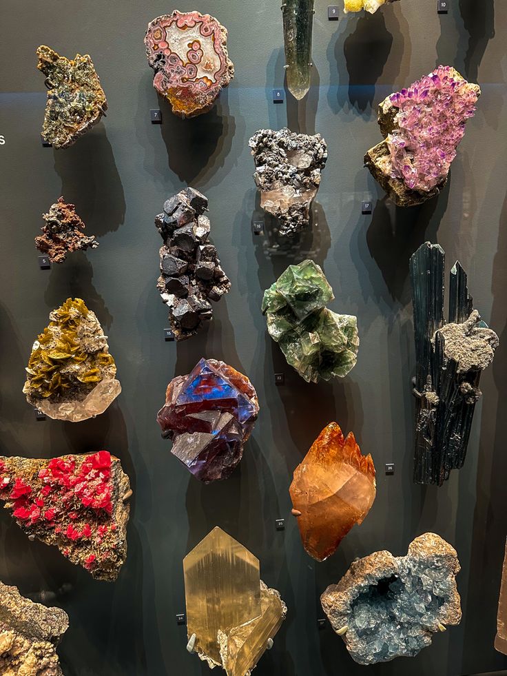 Earth's Treasures: An Essential Guide to Mineral Resources and their ...
