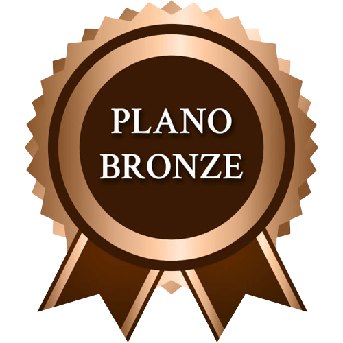 ASSESSORIA ESTUDANTIL INTERNACIONAL - PLANO BRONZE