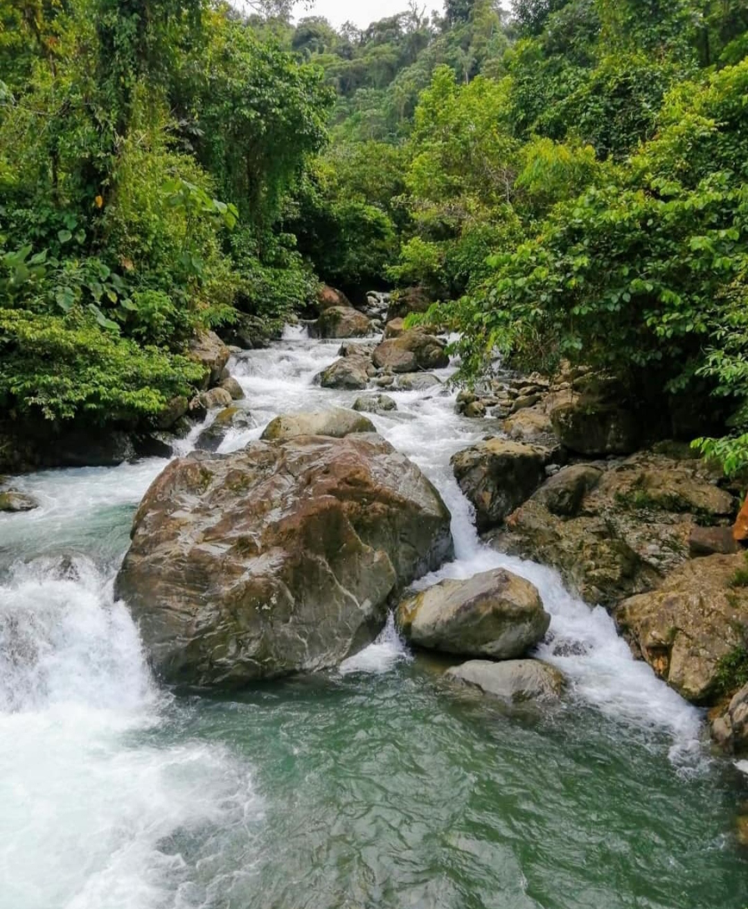 Selling Images - Paola Rentería | Hotmart