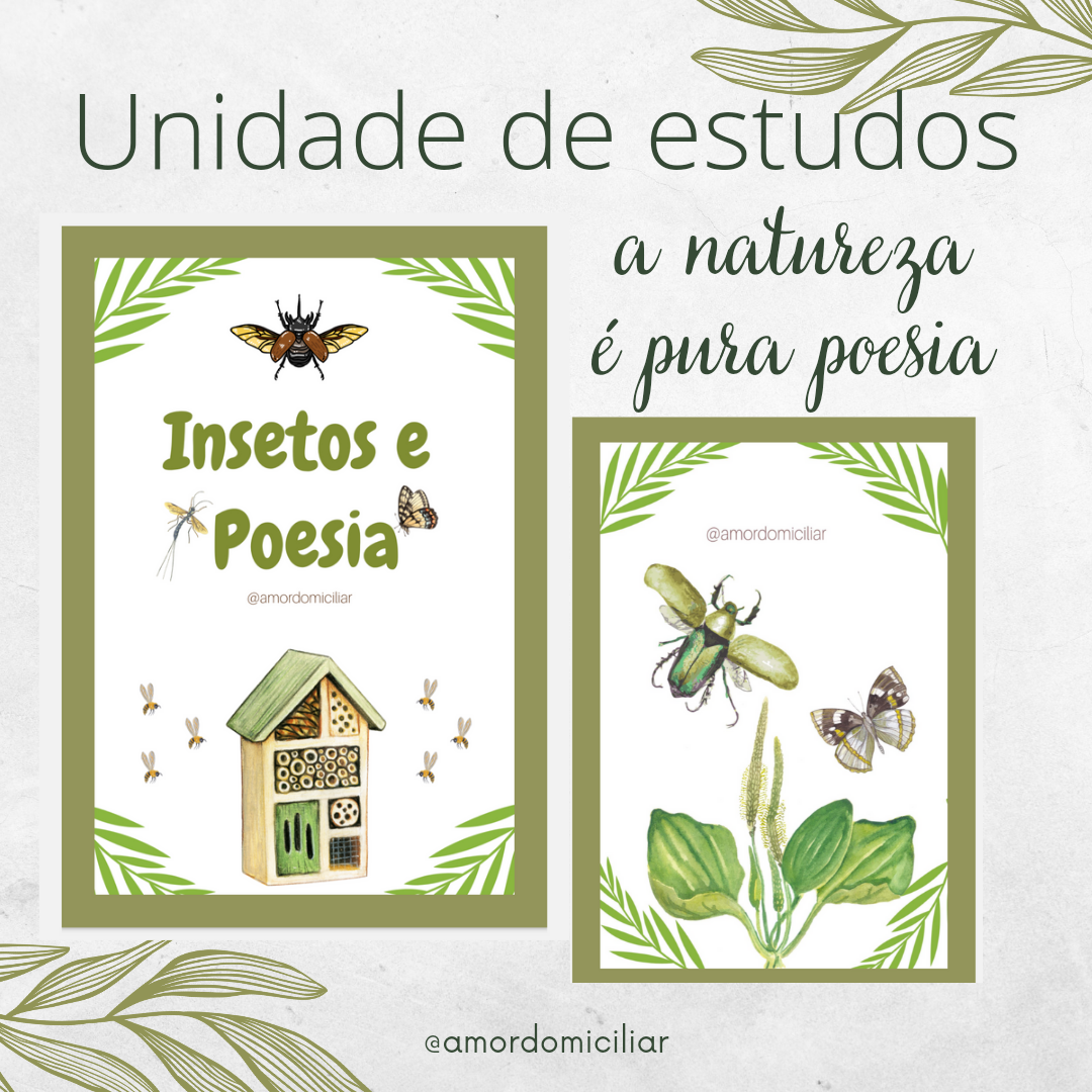 Insetos e Poesia