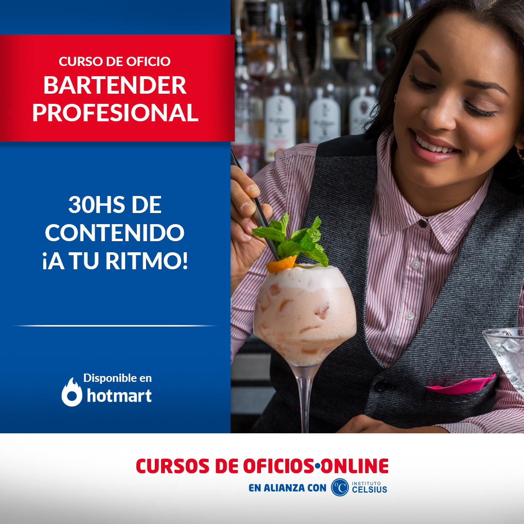 Bartender Profesional