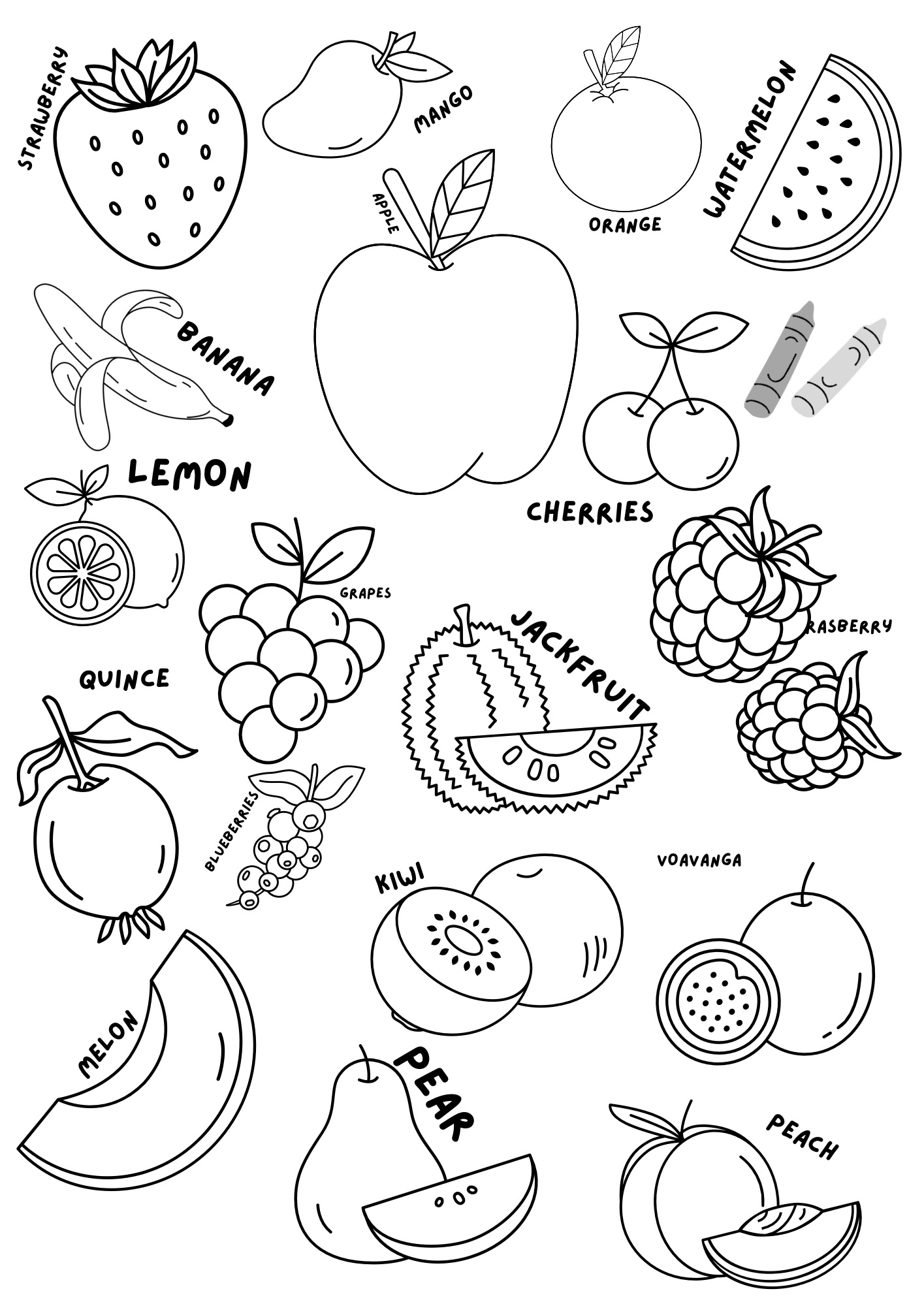 Fruit Coloring Page – Learn Fruits in English | Hotmart