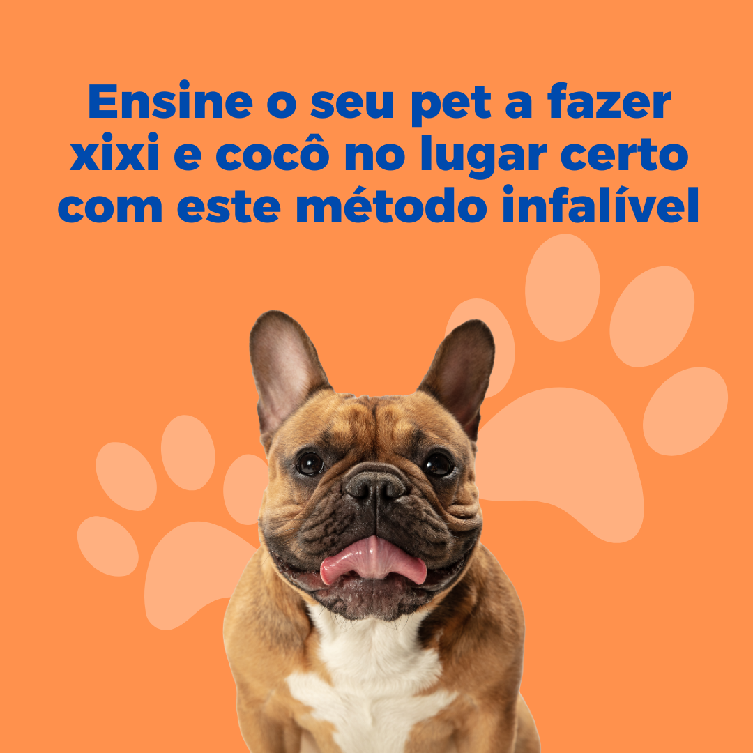 PET EDUCADO - COCÔ E XIXI NO LUGAR CERTO - Rodrigo Melo | Hotmart