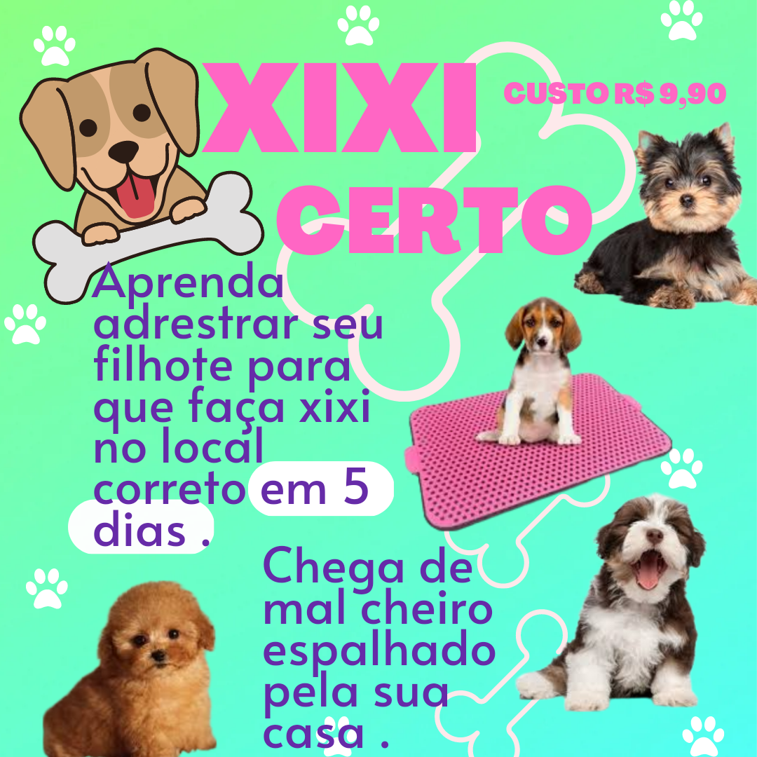 Xixi certo - Luis Fernando Pereira | Hotmart