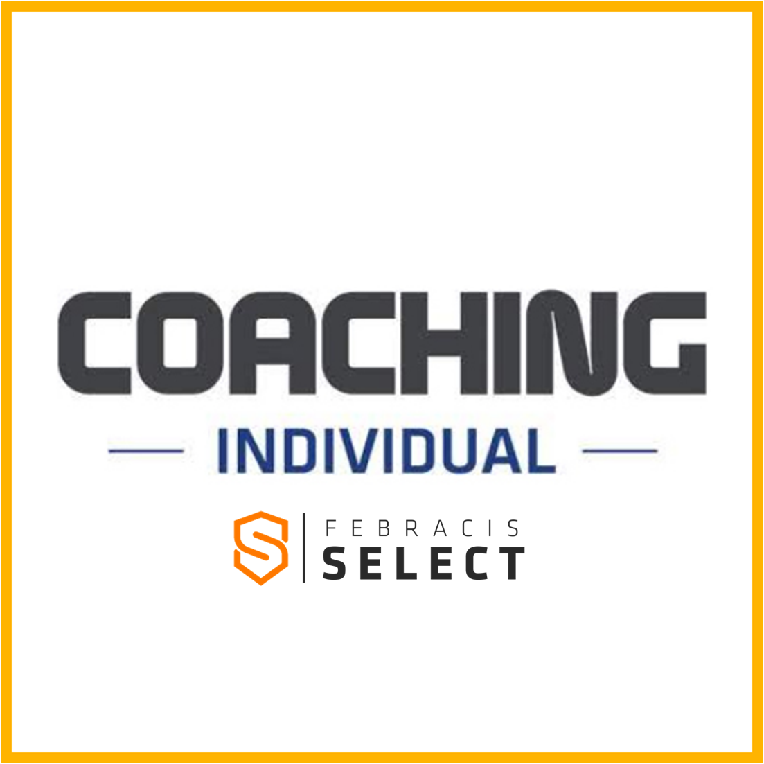 Processo de Coaching Integral Sistêmico® modalidade Individual - Al...