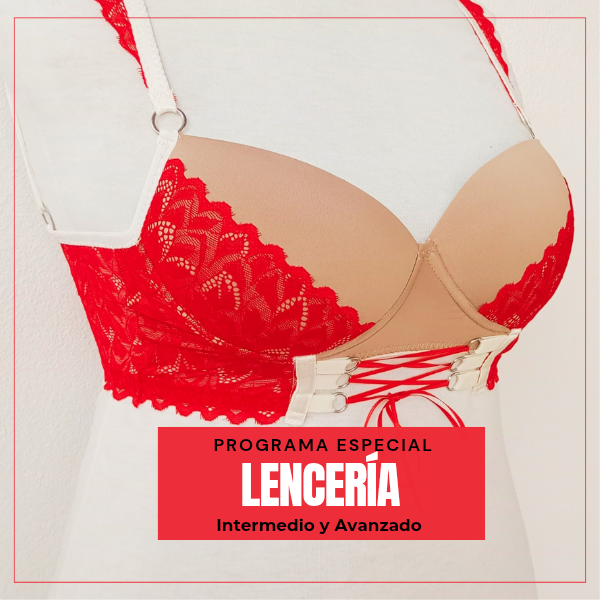 Programa especial: Lencería intermedio y avanzado - Bra cursos de L...