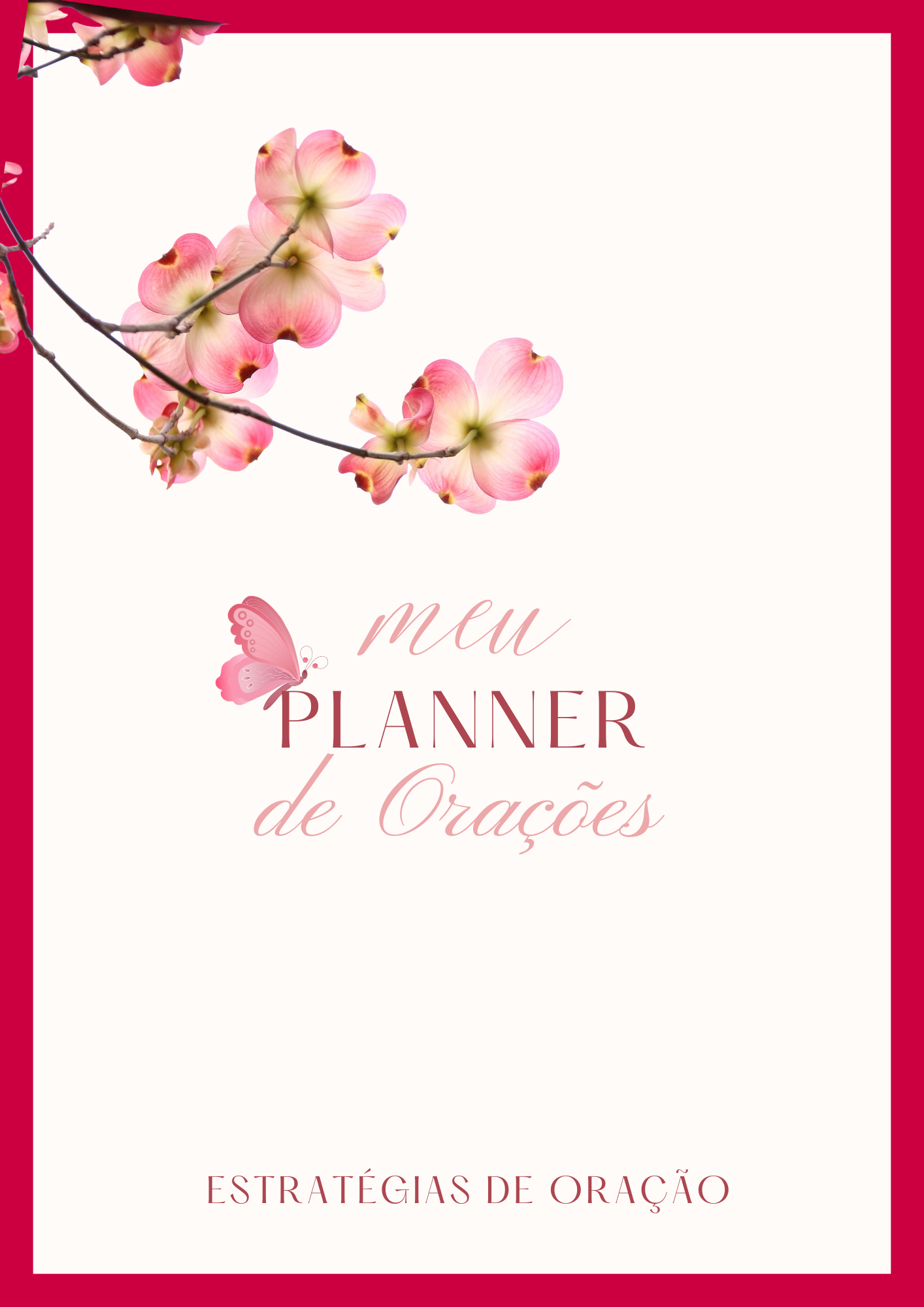 Mulheres de Fé - Edificando minha vida