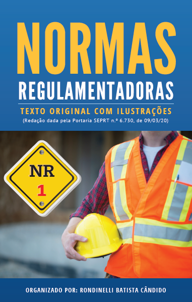 NR-01 ATUALIZADA E ILUSTRADA - RONDINELLI BATISTA CANDIDO | Hotmart
