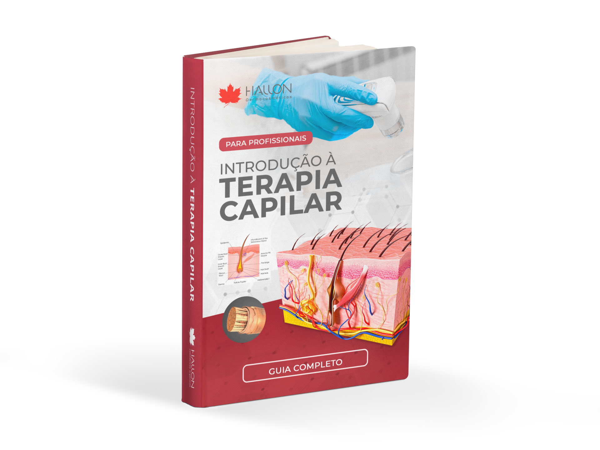 Introdução à Terapia Capilar
