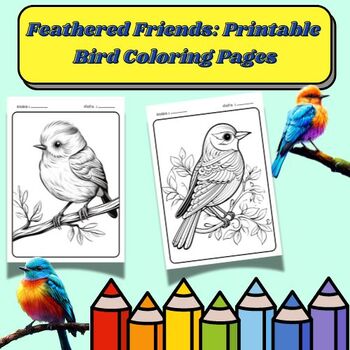 Birds Coloring book – 25 Printable Pages for Kids and Adults, Colle...