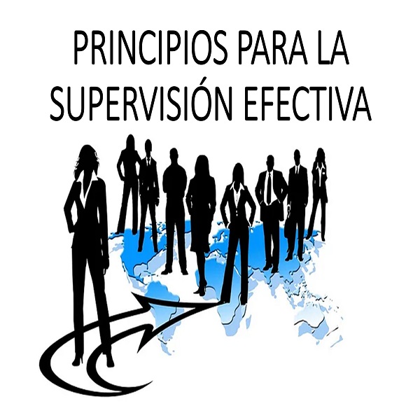 Principios para la supervisión efectiva