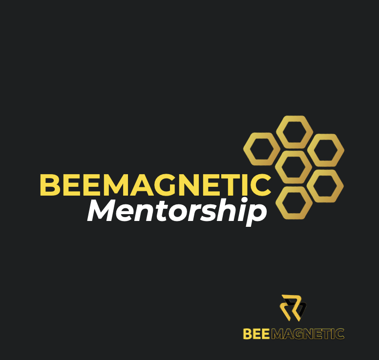 BeeMagnetic Mentorship 1.0 - Brothers and Partners SPA. | Hotmart
