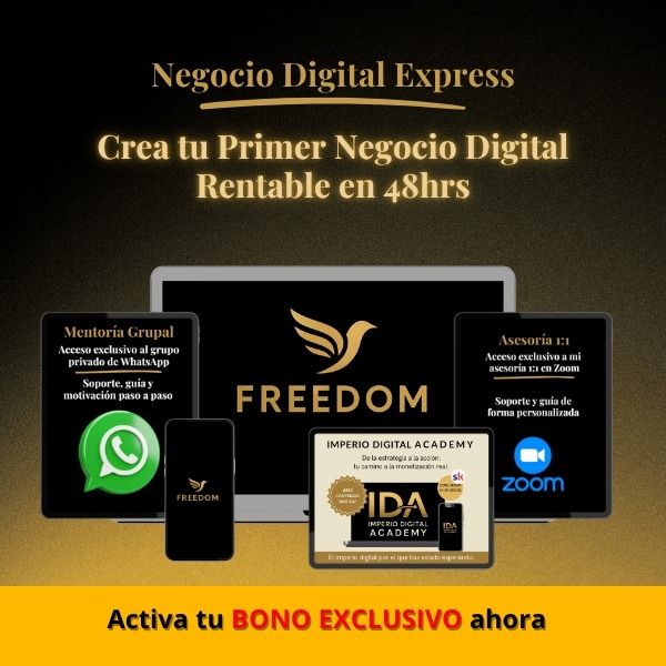 Mentoría Grupal + IDA | Crea tu Primer Negocio Digital Rentable en ...