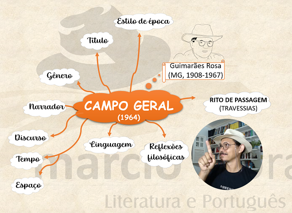 Videoaula sobre "Campo geral", de Guimarães Rosa