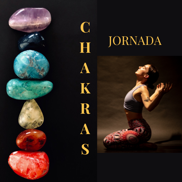 Jornada Chakras - Aprenda tudo sobre chakras na teoria e na prática...