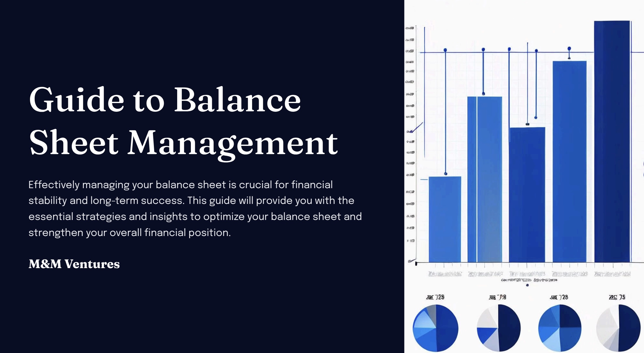 Guide to Balance Sheet Management - M&M Ventures | Hotmart
