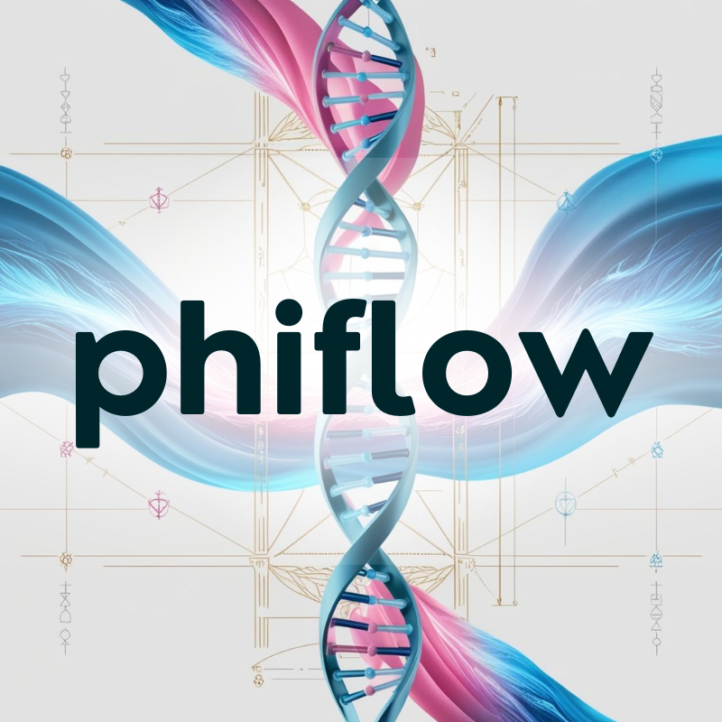 Programme PhiFlow