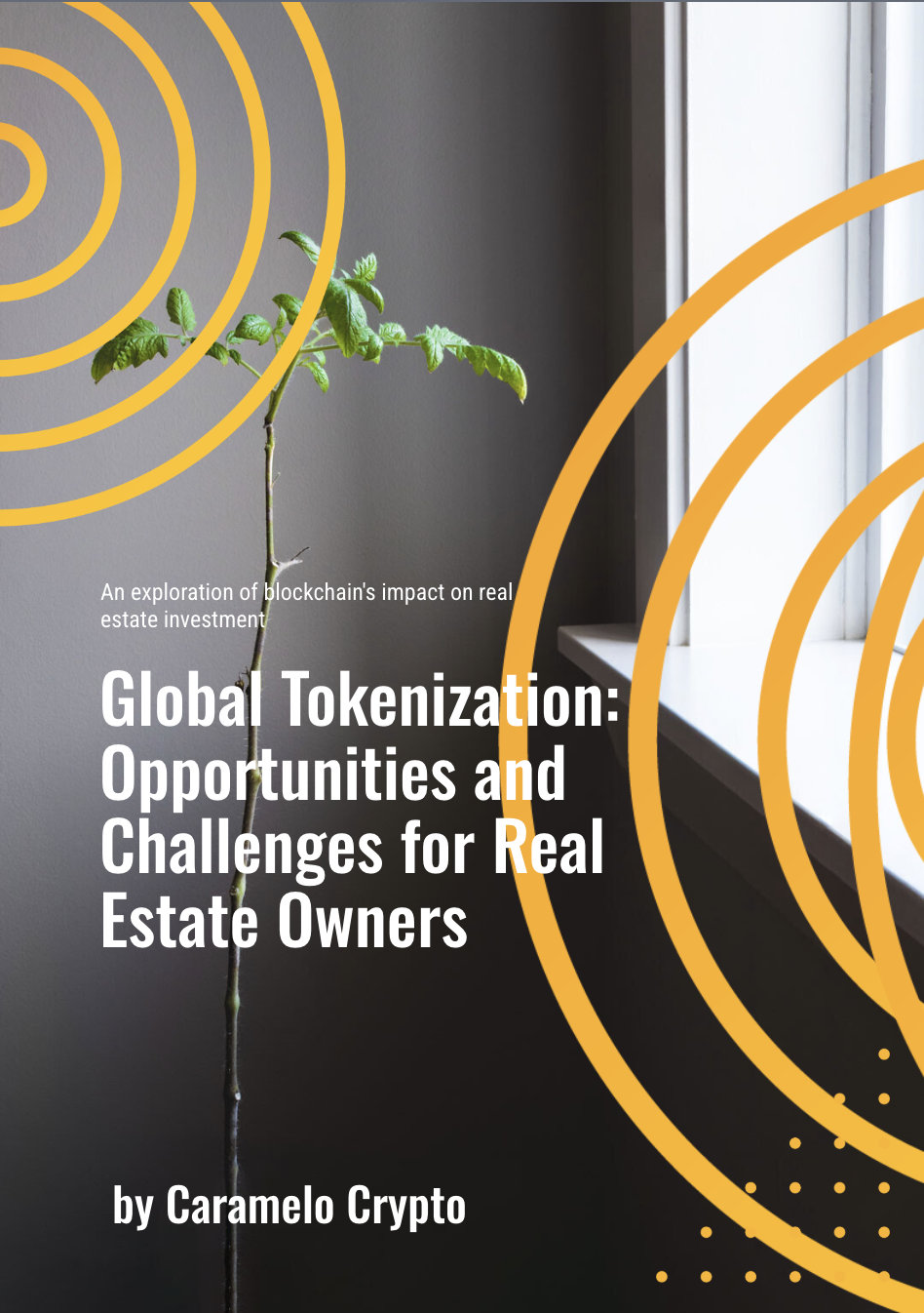 Global Tokenization: Opportunities and Challenges for Real Estate O...