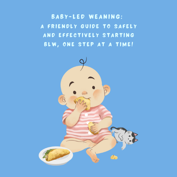 BABY - LED WEANING: AFRIENDLY GUIDE TO SAFELY AND EFFECTIVELY START...